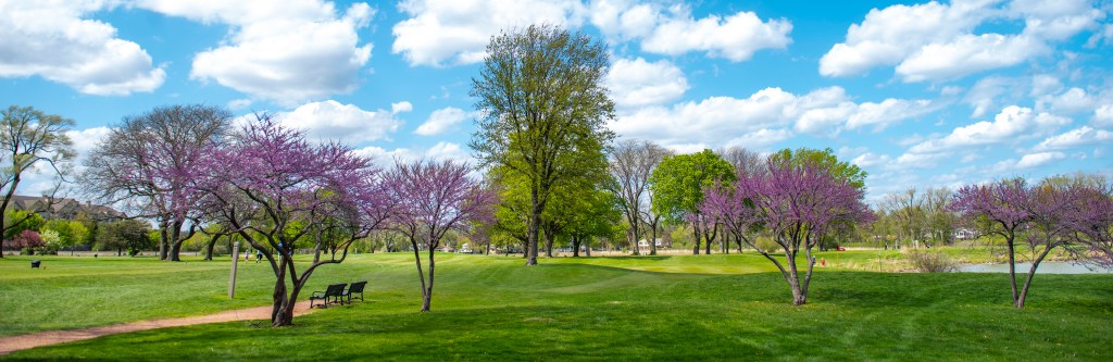 Anetsberger Par-3 - Heritage Oaks Golf Club